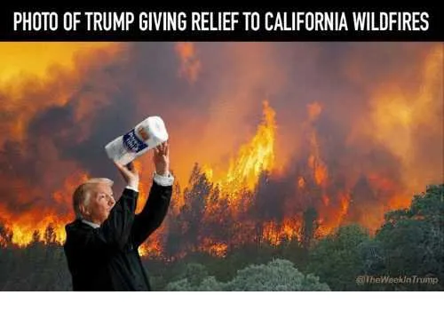 30 Funny Wildfire Memes That Will Burn A Hole In Your Retina