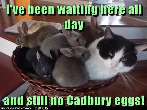 20 Funny Cat Easter Memes Too Cute To Not Share