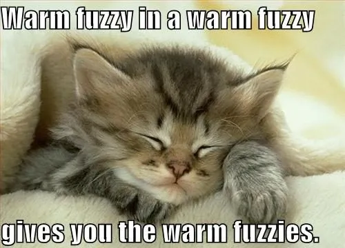 15 Warm And Fuzzy Memes That Will Brighten Up Your Day