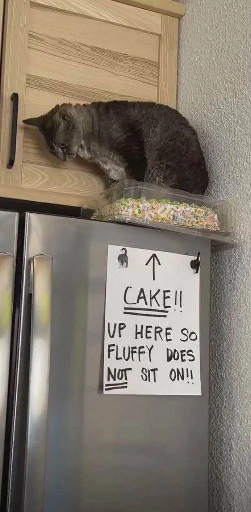 30 Hilariously Awkward Memes That Will Make You Laugh