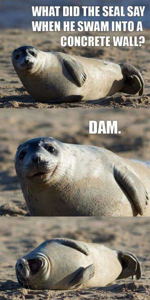 28 Cute And Funny Animal Pictures For An Aww Moment