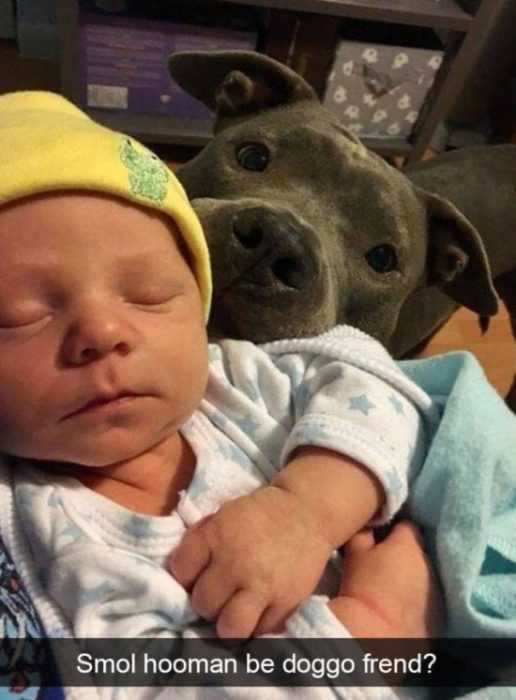 25 Funny And Silly Kid Pictures