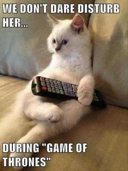 42 Sweet And Funny Animal Pictures That Will Make Your Day