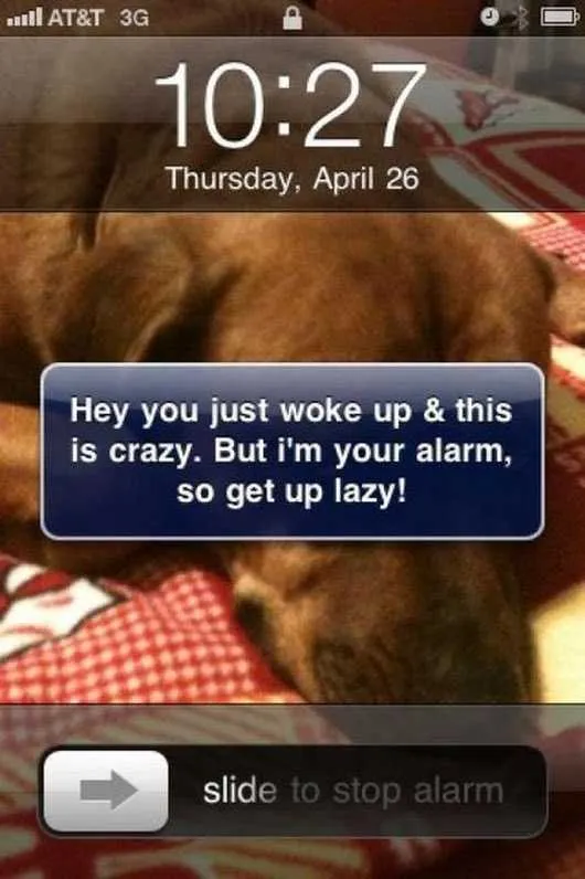 13 Hilarious Alarm Clock Labels To Help You Get UP