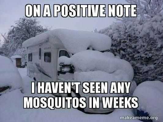 40 Hilarious Winter And Snow Memes For When You're Freezing Your Face Off