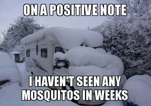 20 Winter Fun Memes To Laugh At