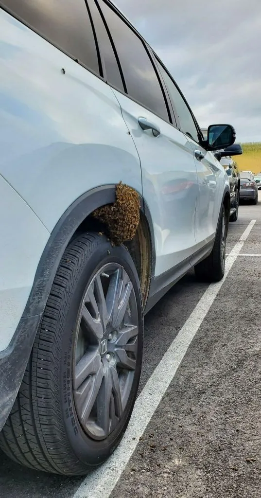 30 Extremely Unfortunate Situations People Had To Deal With