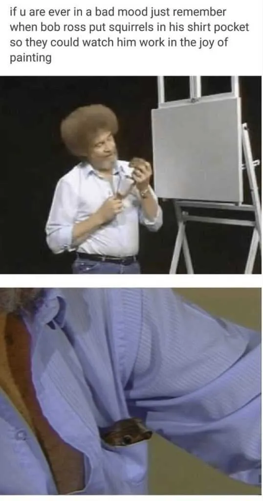 21 Funny Pictures That Will Get You Laughing