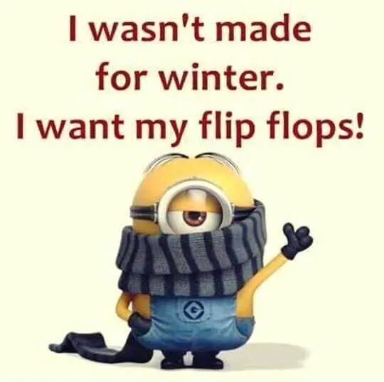 37 Hilarious Minion Memes And Pictures Clean Enough For Kids