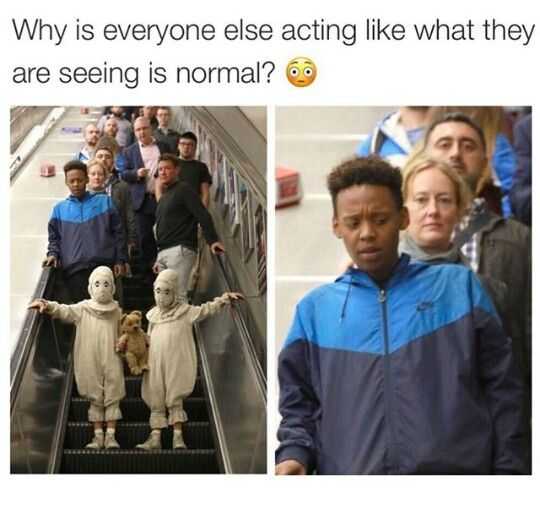 36 Funny Pictures You Will Probably Relate To