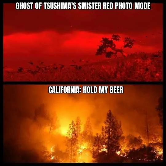 30 Funny Wildfire Memes That Will Burn A Hole In Your Retina
