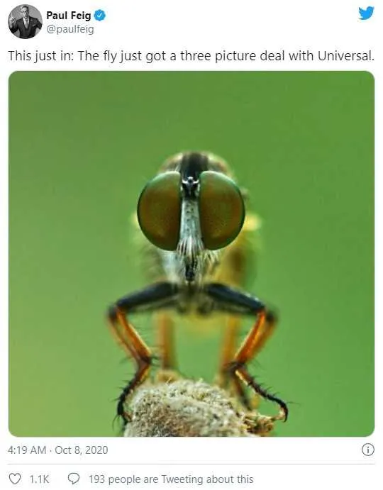 30 Hilarious VP Debate Fly Memes Because Pence Was Outshined By A Fly