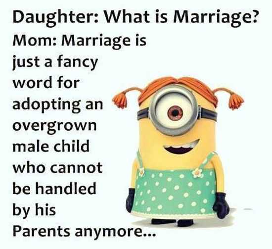 Funny Minions Pictures Of The Week