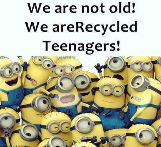 Funny Minions Pictures Of The Week