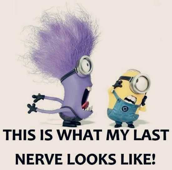 Big Funny Minions Pictures Post - The Funny Beaver #Funnyminionpictures