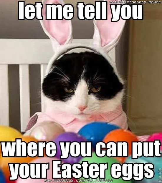 20 Funny Cat Easter Memes Too Cute To Not Share