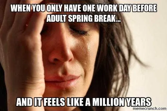 32 Funny Spring Break Memes | The Funny Beaver