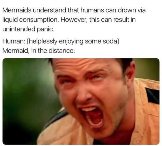 25 Hilarious And Funny Memes You're Gonna Love