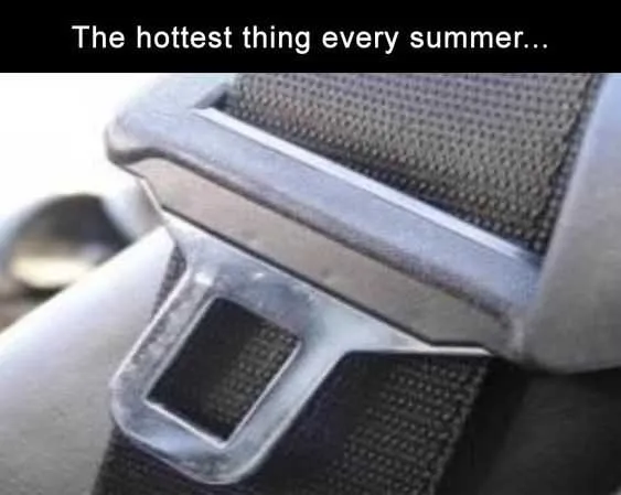 24 Hilarious Funny Summer Memes