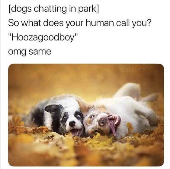 35 Funny ROFL Memes And Pictures