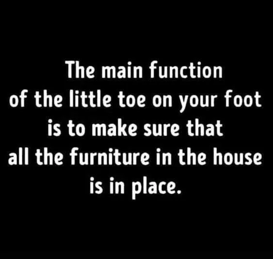 25 Funny Quotes That Are Pretty Relatable