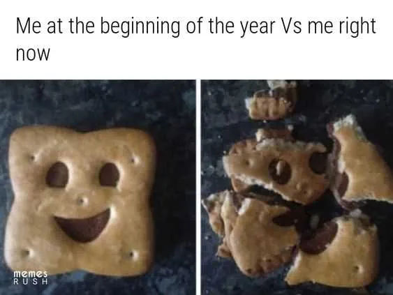 Just 30 Funny And Fresh Memes | The Funny Beaver