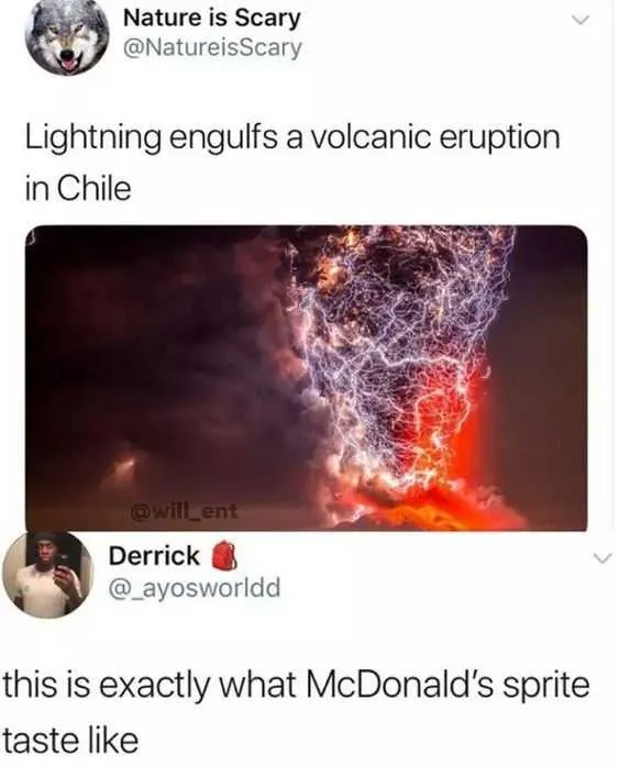 26 Funny Pictures For When You Need LOLs