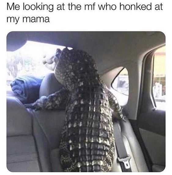 31 Funny Memes Because Monday Is Coming Again
