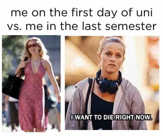 Funny Student Memes For Every High School Or College Student