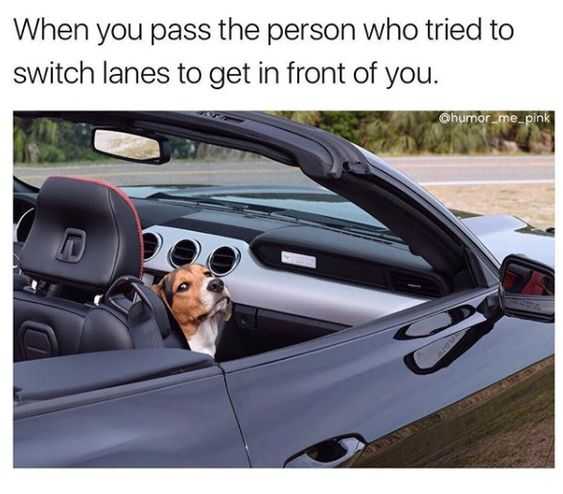 26 Funny Driving Memes For Any Driver
