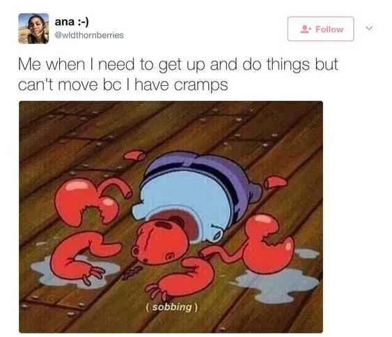 31 Funny PMS Memes For You To Enjoy In Between The Tears And Rage