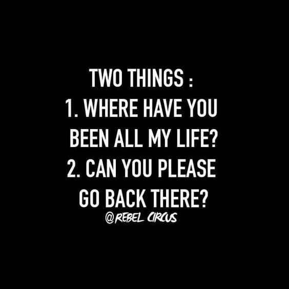 28 Hilarious Quotes For Every Situation | The Funny Beaver