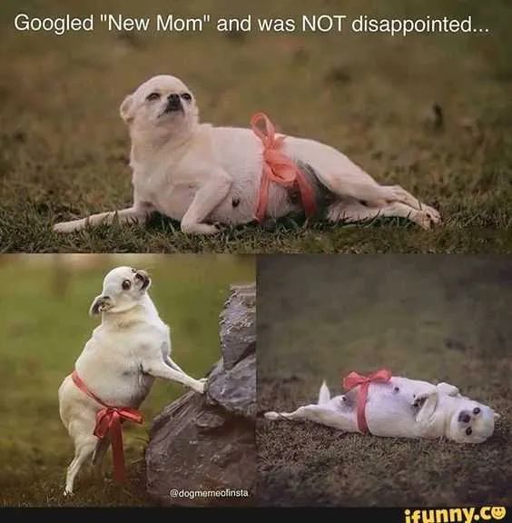 59 Hilarious Pregnancy Memes That Any Parent-to-Be Can Appreciate