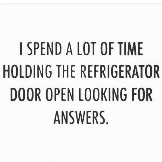 20 New Funny Quotes For Your Week | The Funny Beaver