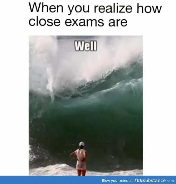 54 Hilarious Memes For Finals Week | The Funny Beaver