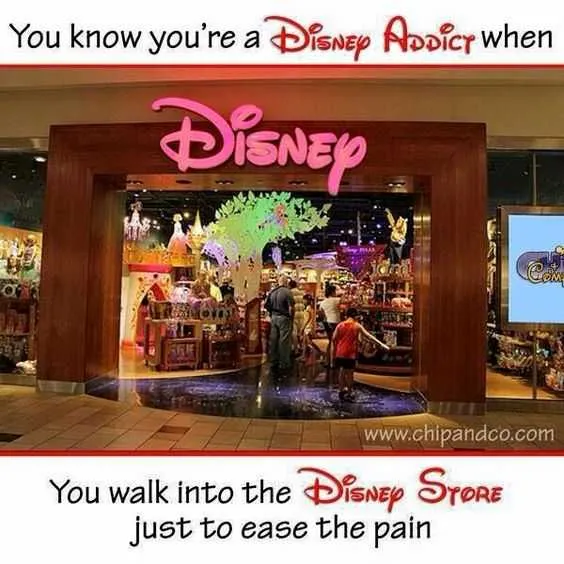 24 Disney Memes Funny Enough For Disney Park Fans