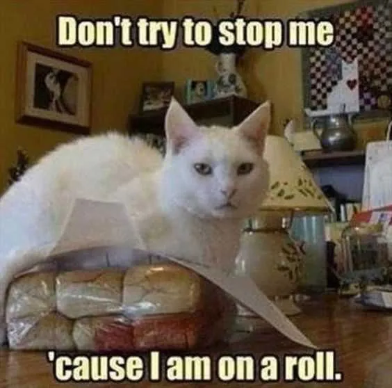 24 Hilarious Animal Pictures With Captions