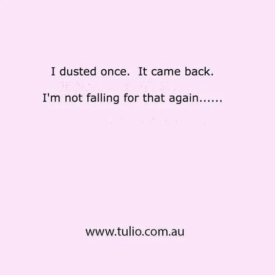 24 Funny Pictures About Spring Cleaning