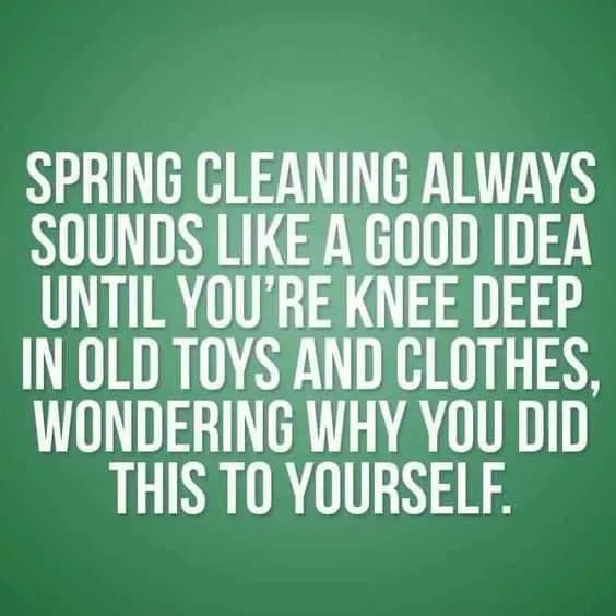 24 Funny Pictures About Spring Cleaning