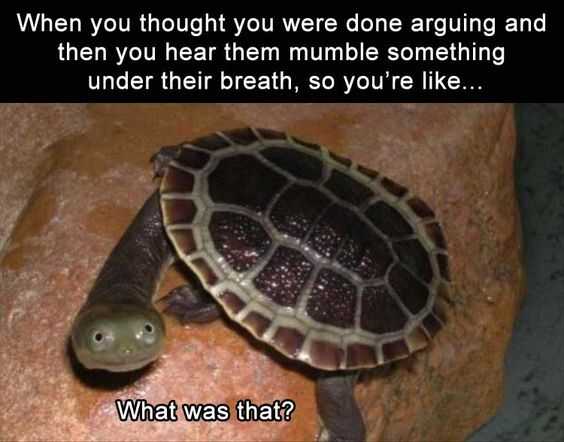 32 Funny Memes To Make Your Week Better