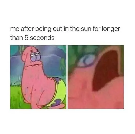 24 Hilarious Funny Summer Memes