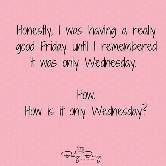 30 Funny Snappy And Hilarious Quotes