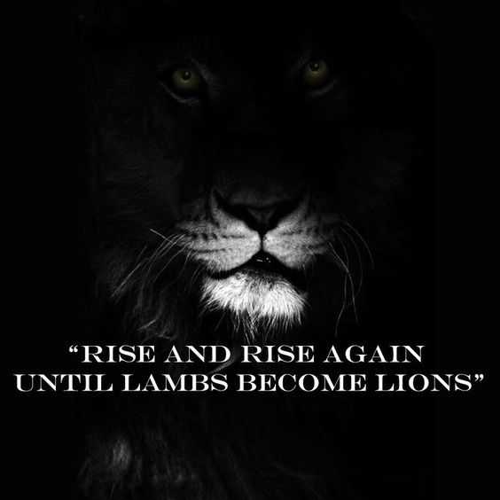33 Unbelievable Smart And Great Inspirational Quotes