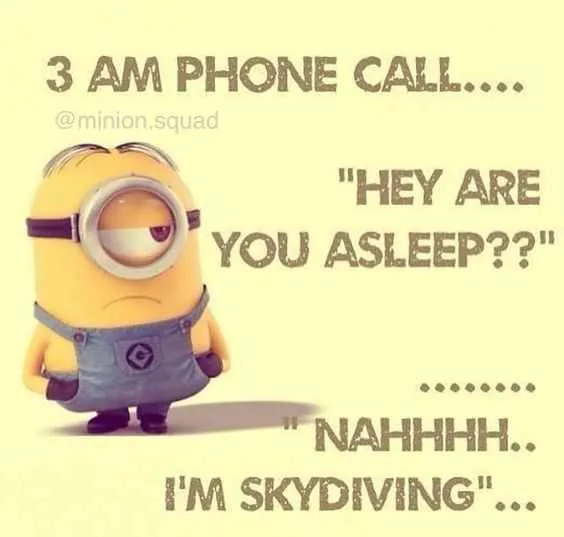 25 Minion Memes And Quotes To Enjoy