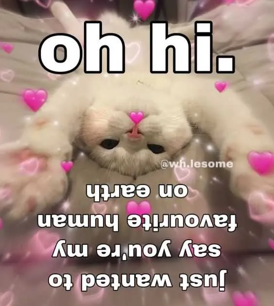 32 I Love You Memes To Share With Your Sweetheart | The Funny Beaver