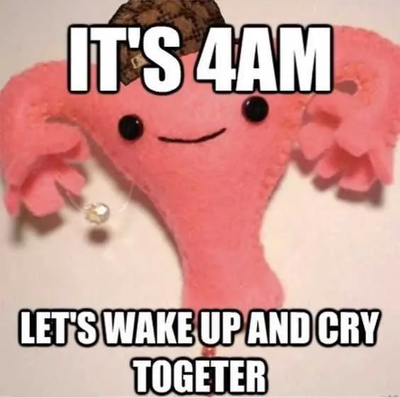 31 Funny PMS Memes For You To Enjoy In Between The Tears And Rage