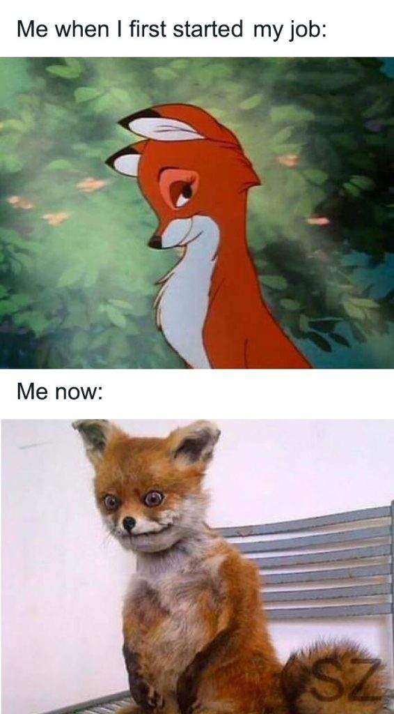 30 Hilarious Memes About Office Life To Share With Coworkers