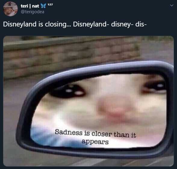 20 Disney Park Closed Memes - The Funny Beaver