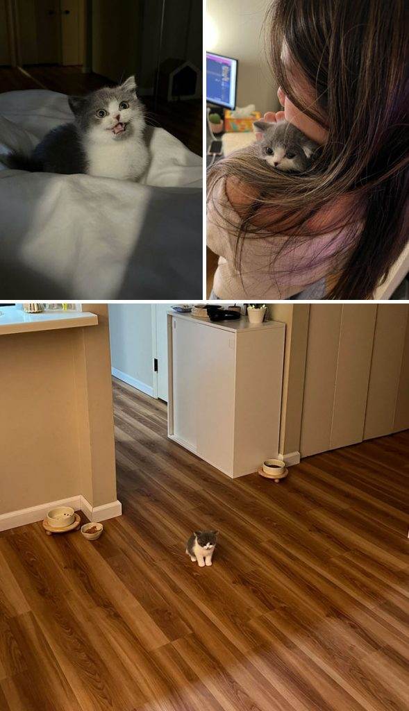30 Of The Most Heartwarming Pics Of Happily Adopted Pets