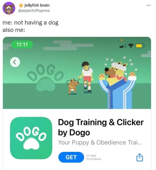 30 Excellent Dog Memes To Make Your Day Better